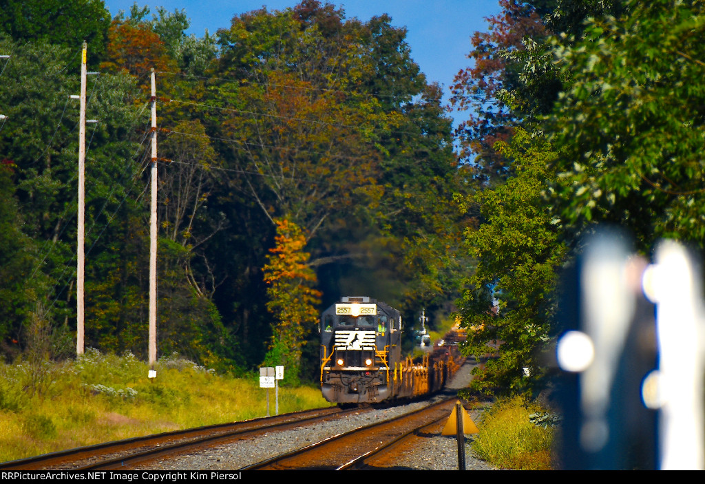 NS 2557 25W Baretdble